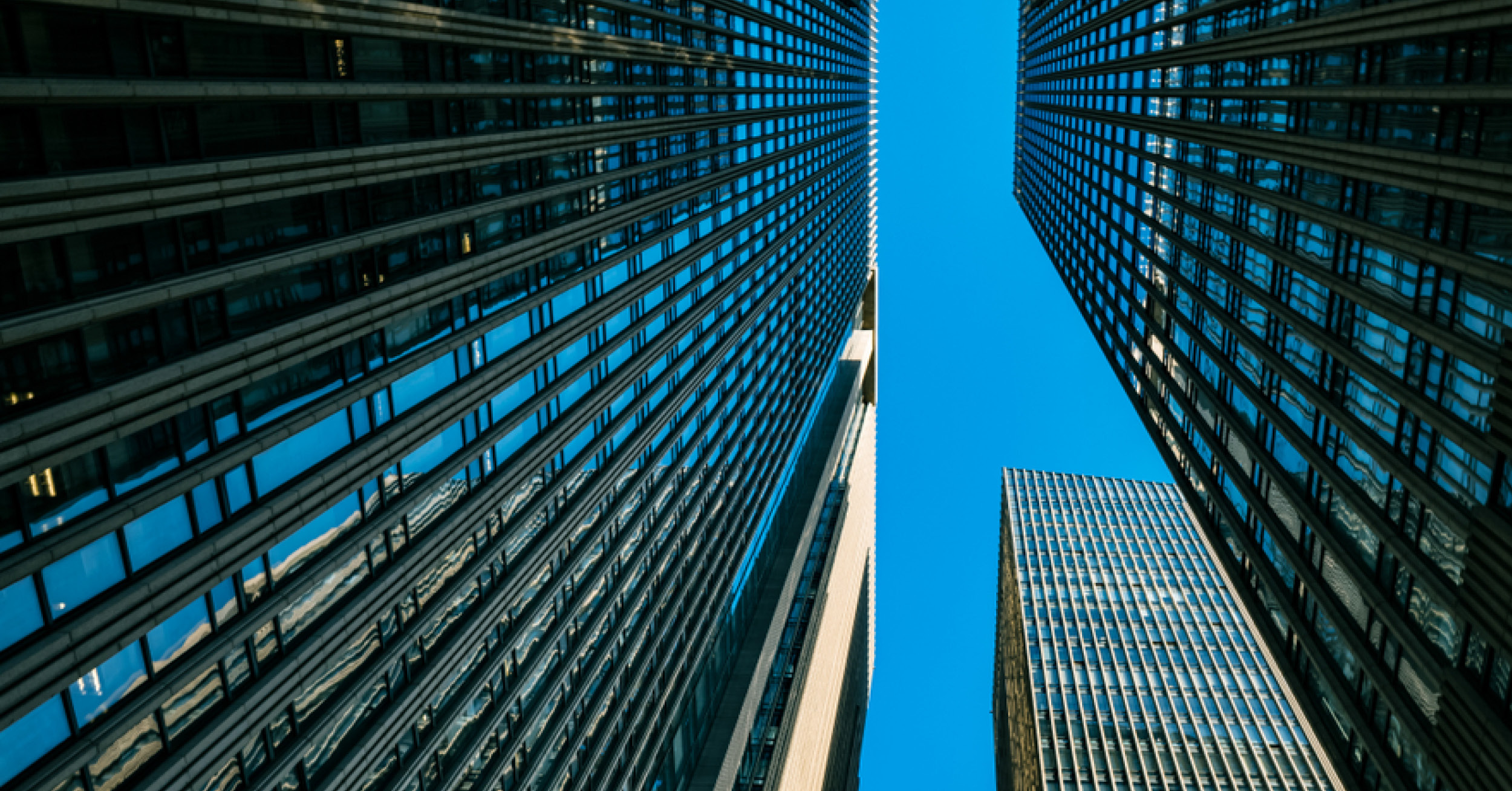 Telling the Story of a Fit Financial Future - The Storytellers