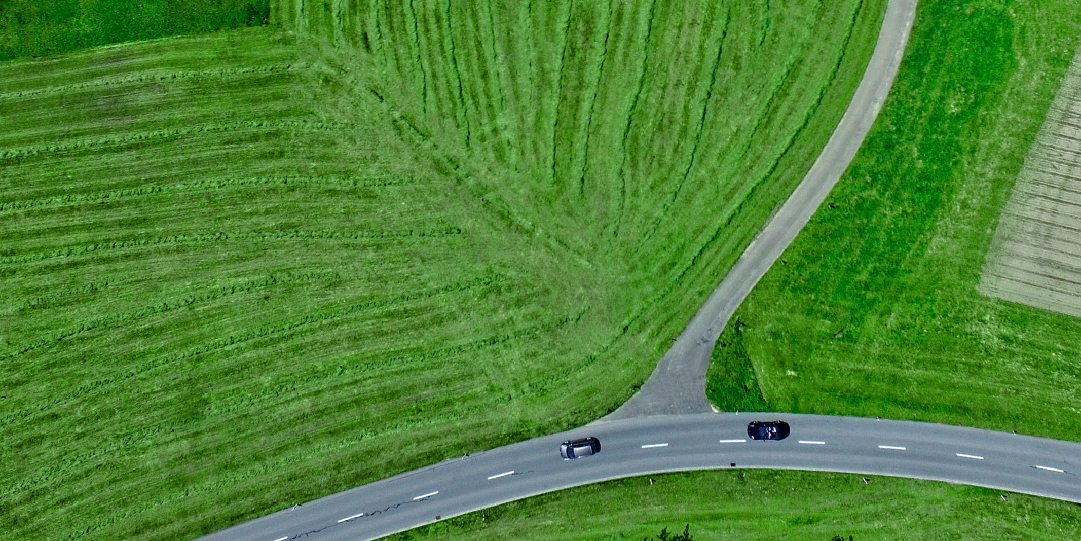 The road to resilience: why stories matter - The Storytellers